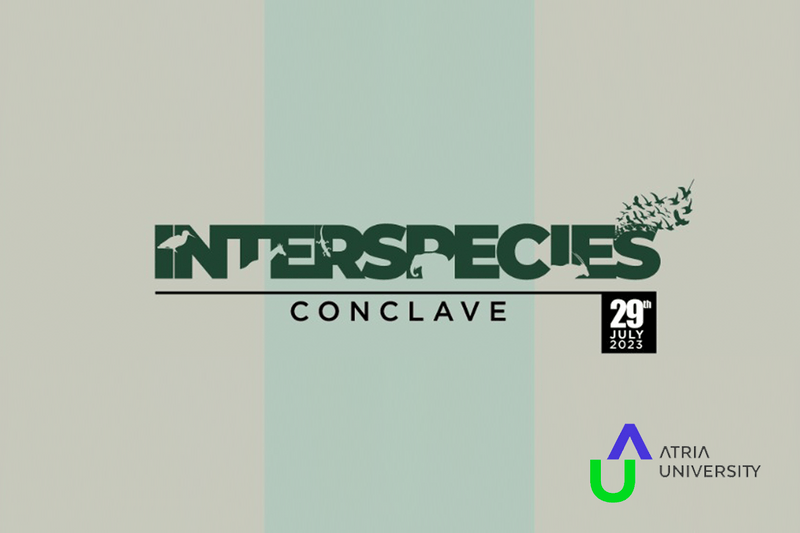 Illustrator | SillyStrokes